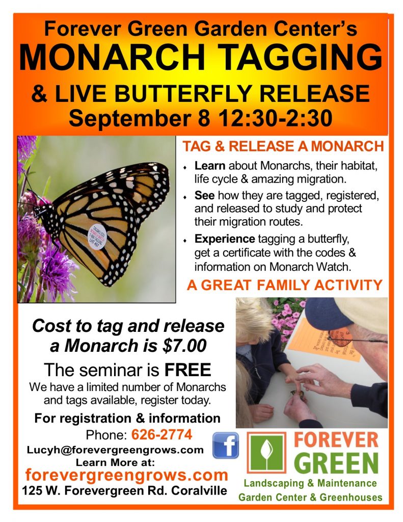 Monarch Tagging and Live Butterfly Release - Forever Green Grows